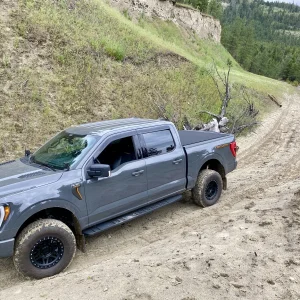 1FD78A70-C55F-4FB3-934E-5F9EF273665C.jpeg | F150 Tremor Forum
