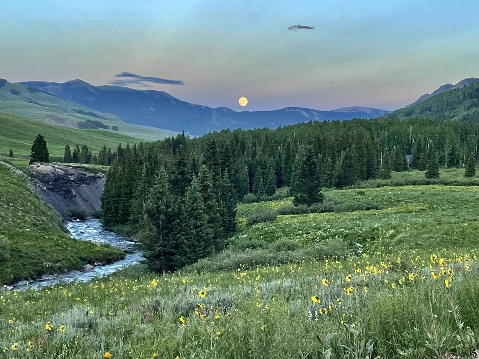 040960A7-451C-4360-8B5C-870D99D10EBB.jpeg | F150 Tremor Forum