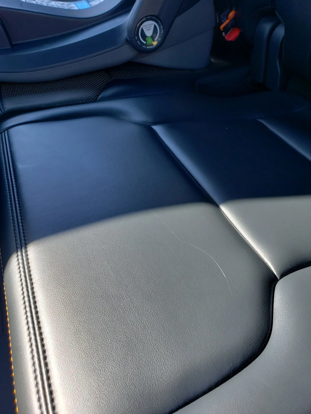 20240921_150712.jpg | F150 Tremor Forum