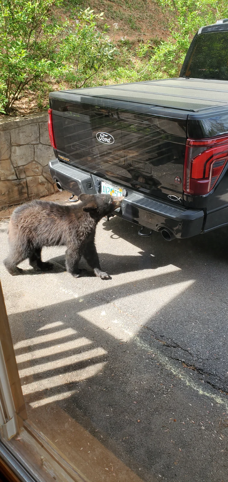 20250419_155543.webp | F150 Tremor Forum