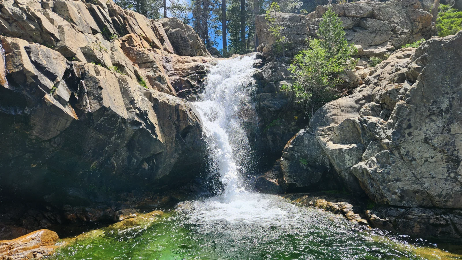 20250703_113531.webp | F150 Tremor Forum