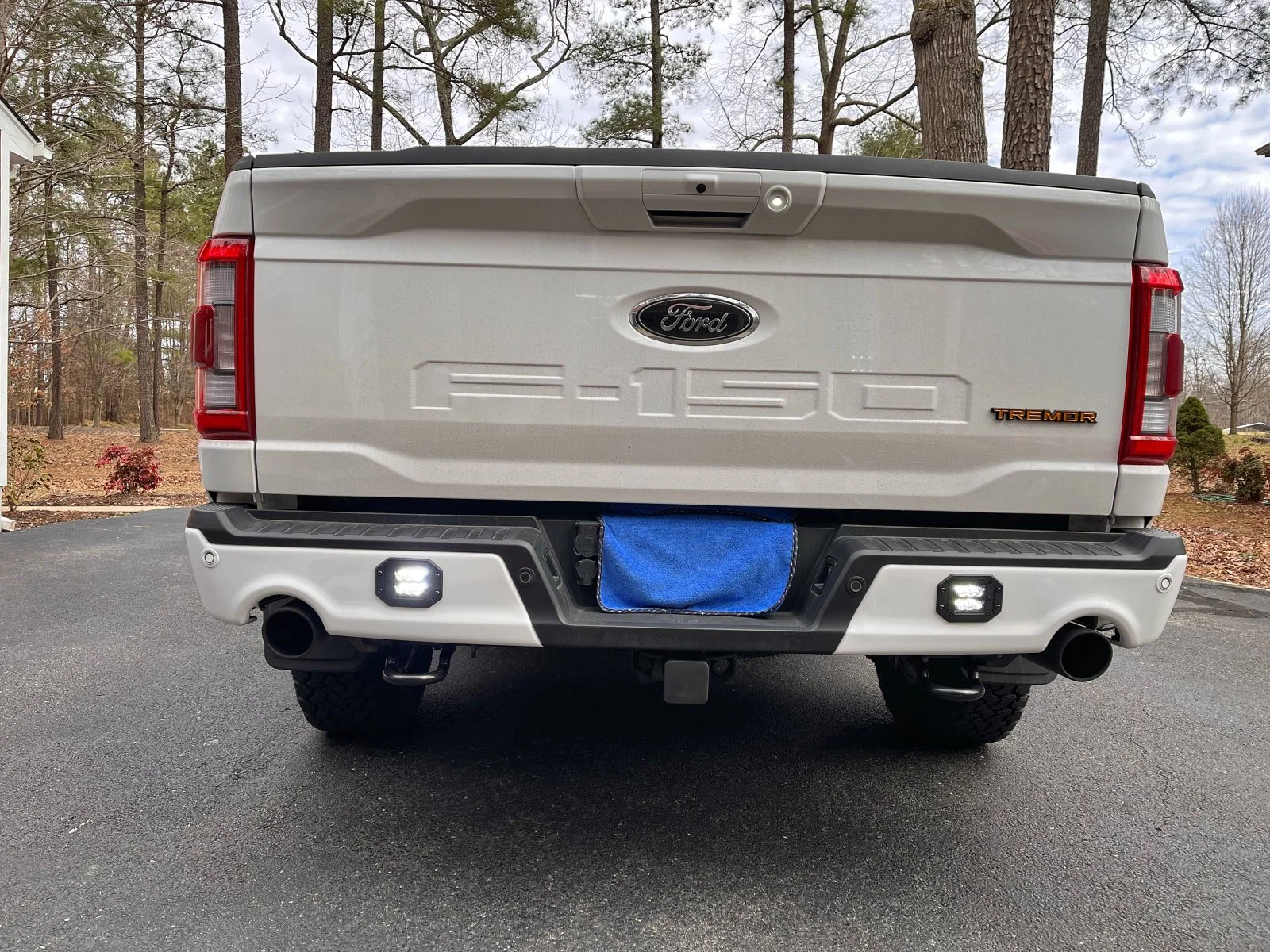 A2E5E2C5-C162-4134-BC71-3DE9DCF395A0.jpeg | F150 Tremor Forum