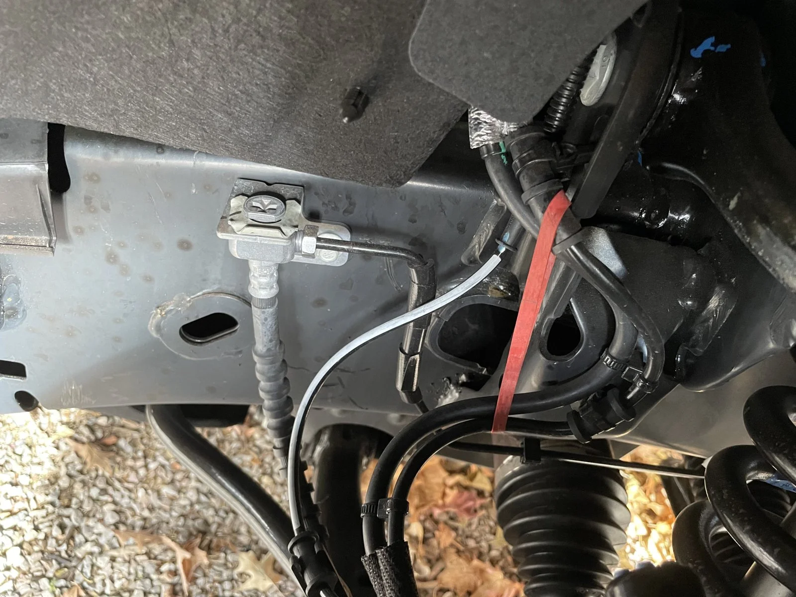 A6148B1D-A7DC-49A4-8EC7-FD146F76817F.jpeg | F150 Tremor Forum