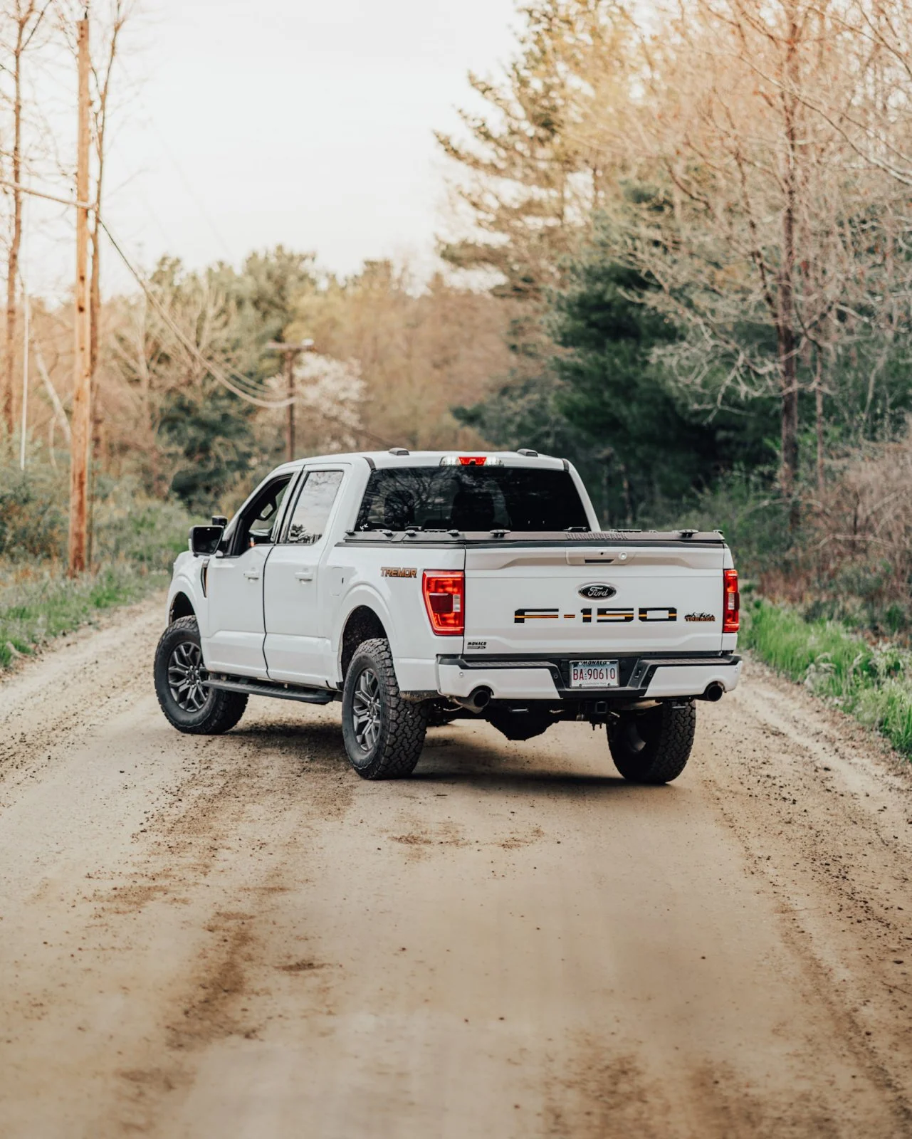 DED72AAA-22EF-4CD9-A33E-AE74CC3914B4.jpeg | F150 Tremor Forum