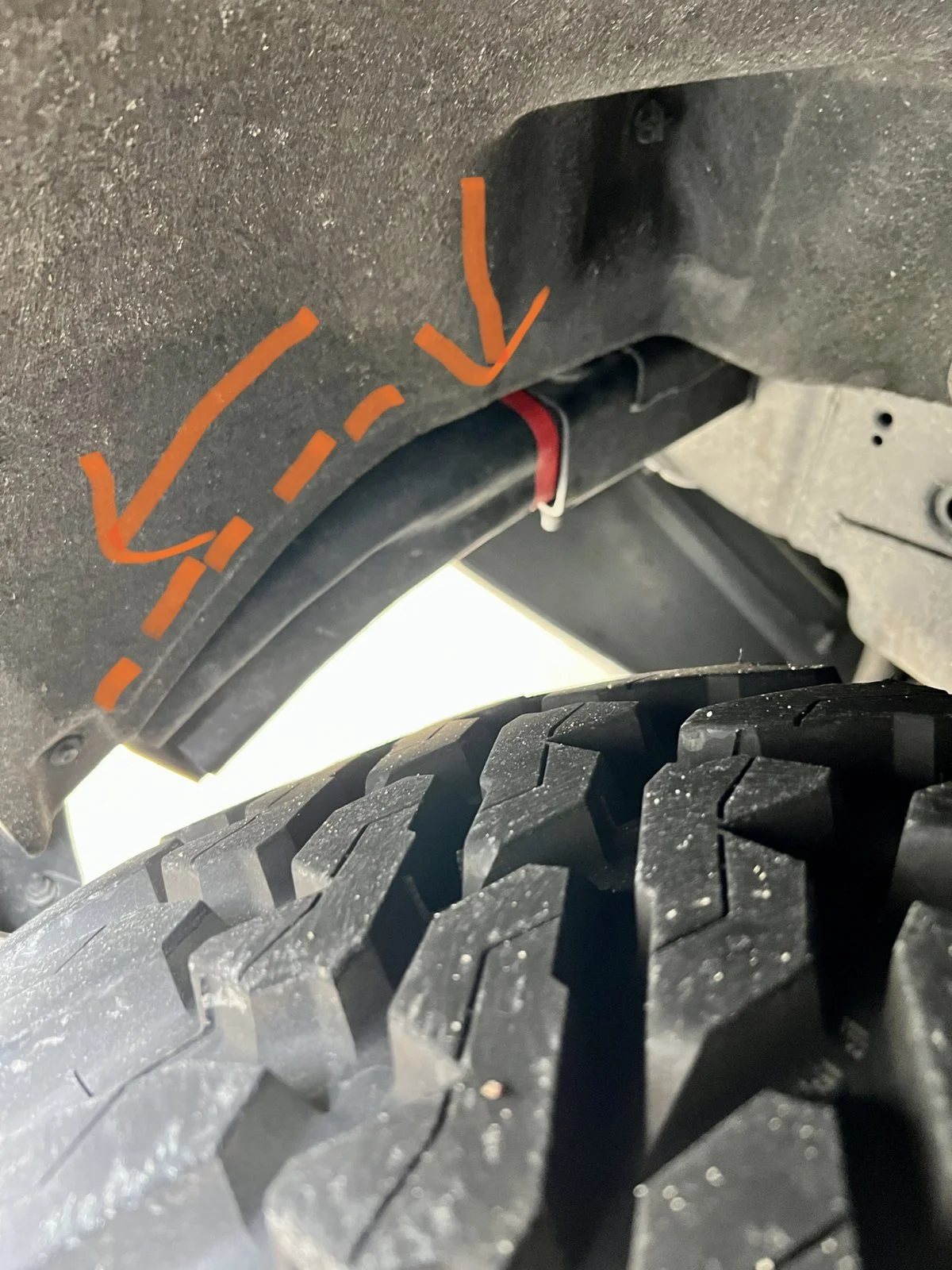 E83505E2-FC04-48D1-AE76-BF5EB48569A2.jpeg | F150 Tremor Forum