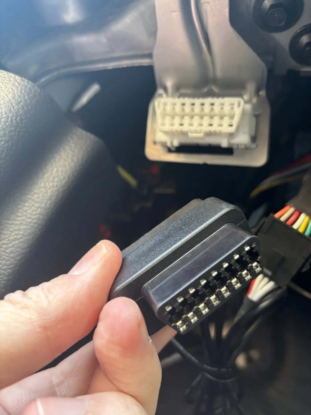 IMG_0013.jpeg | F150 Tremor Forum