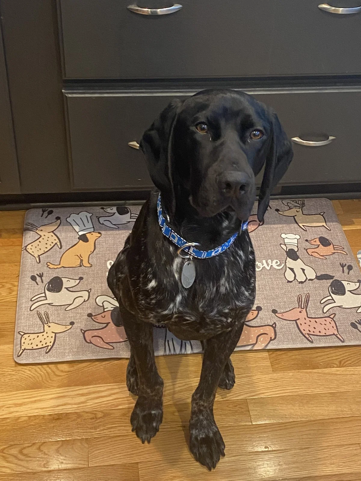 IMG_0234.JPG | F150 Tremor Forum