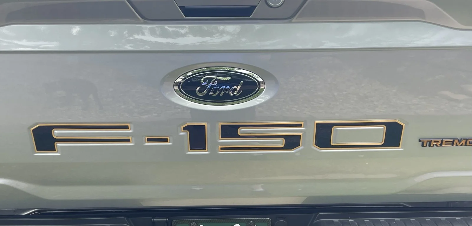 IMG_0671.jpeg | F150 Tremor Forum