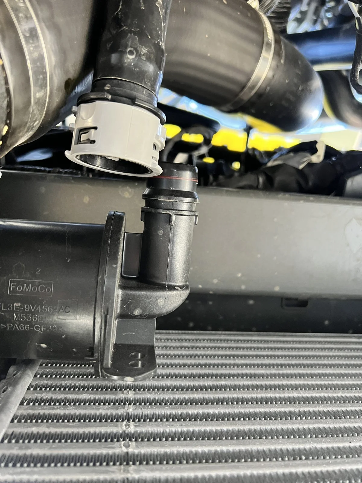 IMG_5946.jpeg | F150 Tremor Forum