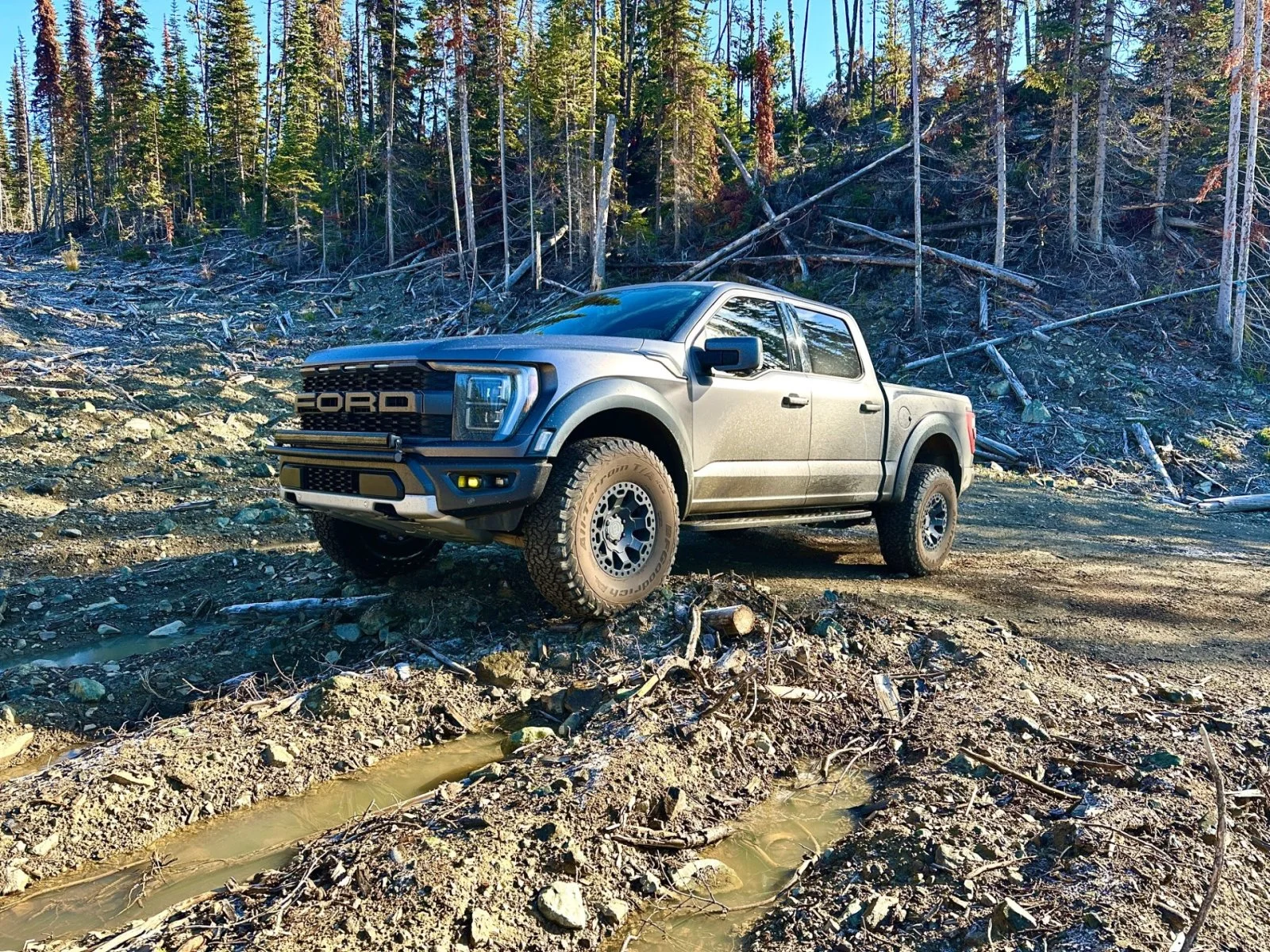 raptor.jpg | F150 Tremor Forum