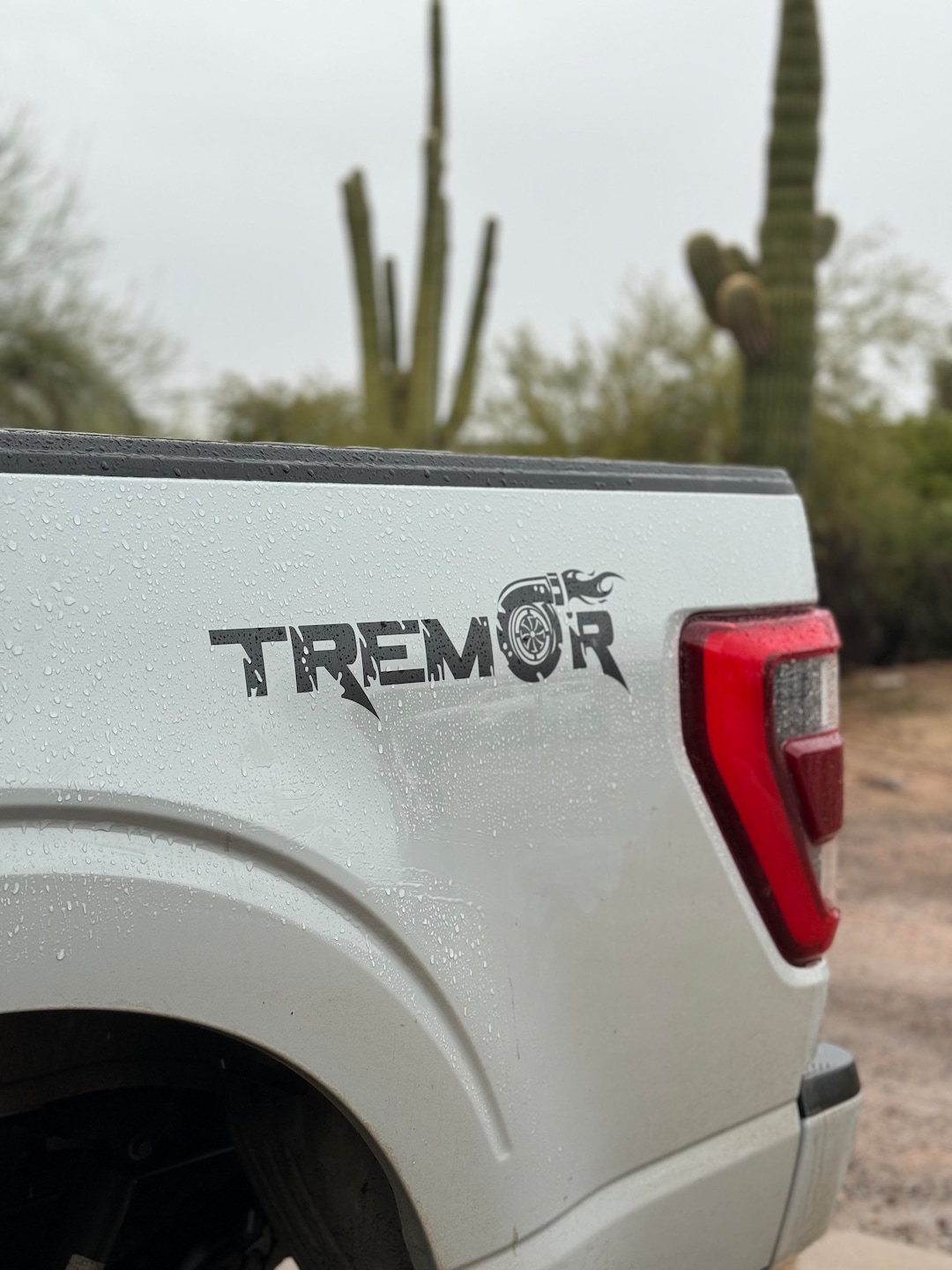 Ecoboost and Coyote Tremor bedside decals. | F150 Tremor Forum